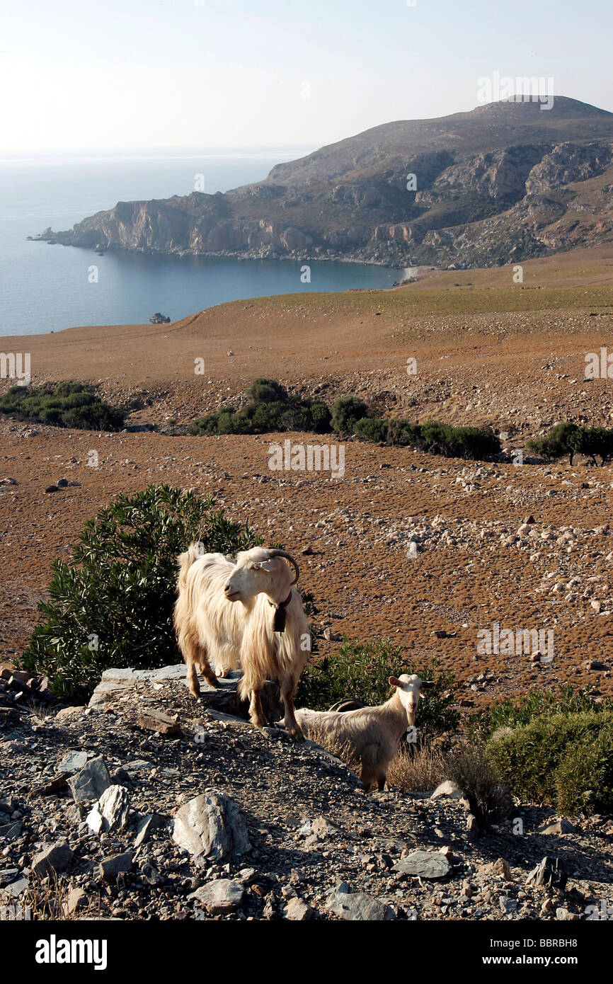 Sfinari crete hi-res stock photography and images - Alamy