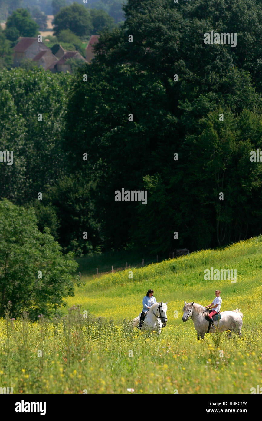 Ride on percheron horse nature hi-res stock photography and images - Alamy