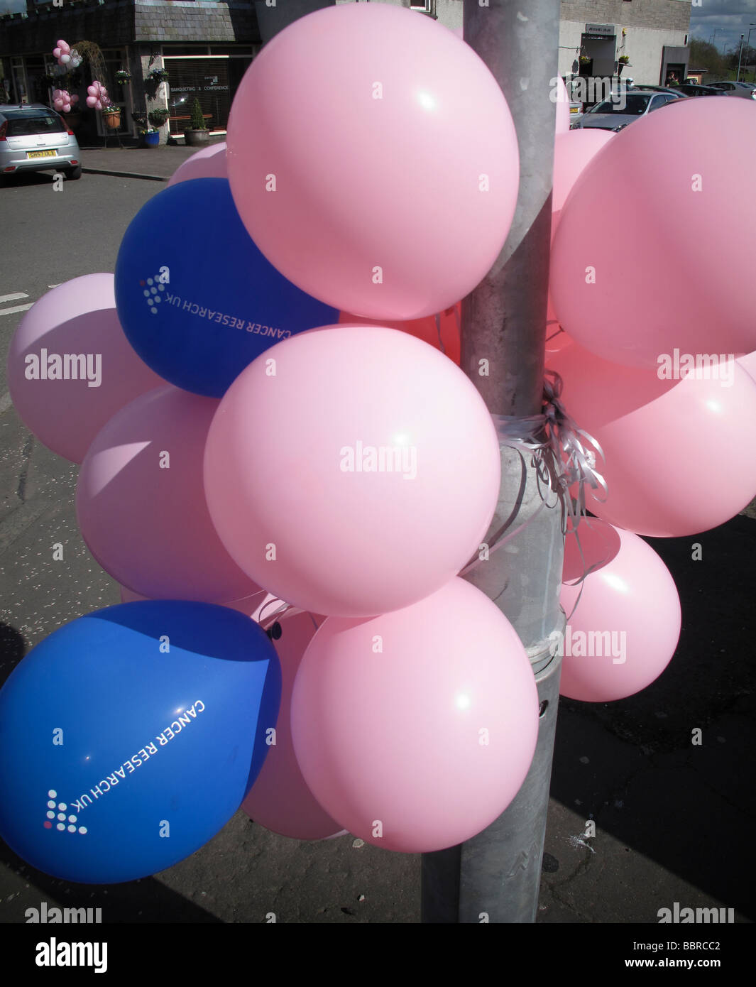 Coloured balloons advertising cancer charity event Stock Photo - Alamy