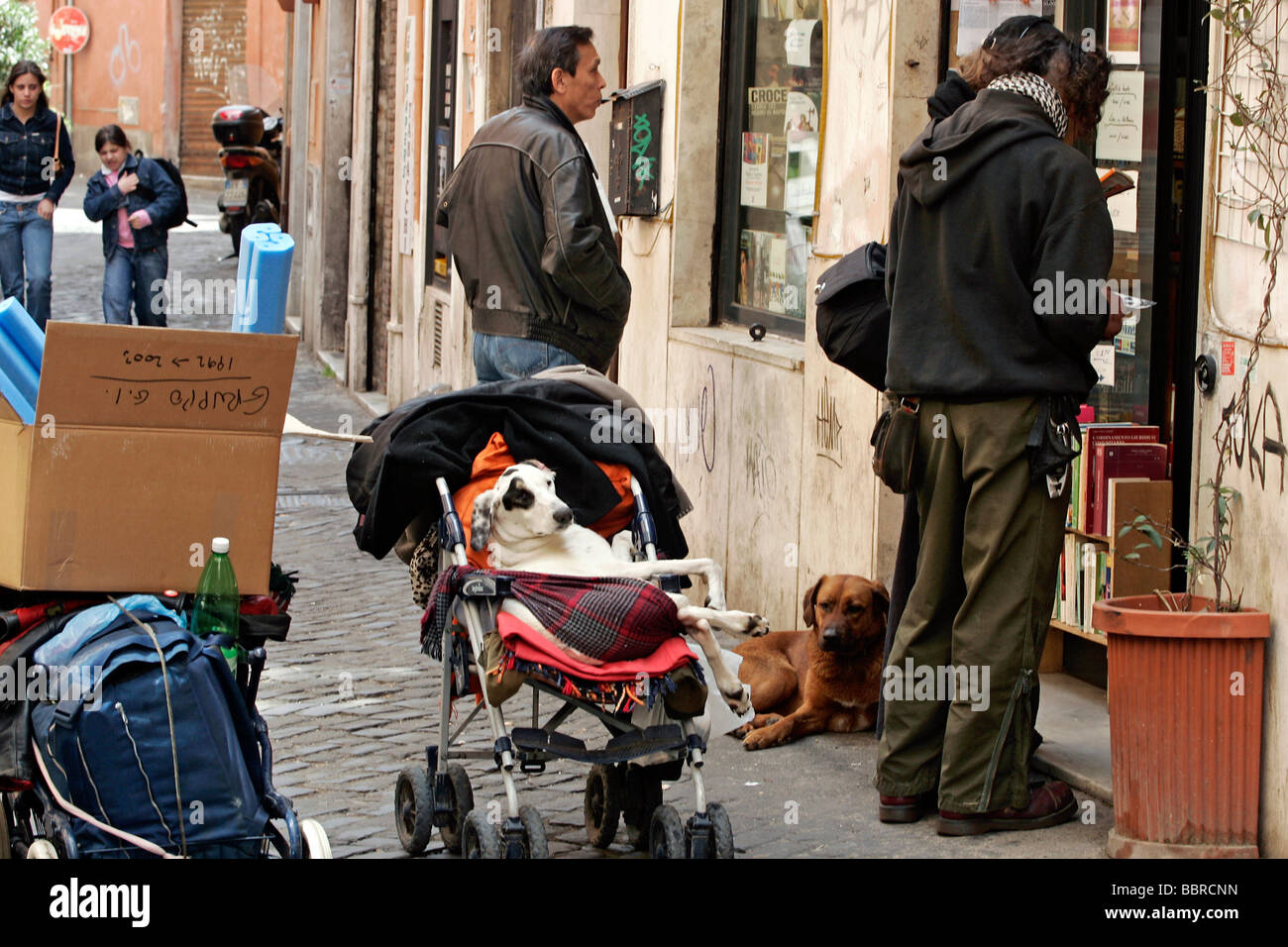 STREET SCENE, DOGS AND PASSERS-BY IN THE TRASTEVERE NEIGHBORHOOD, ROME ...