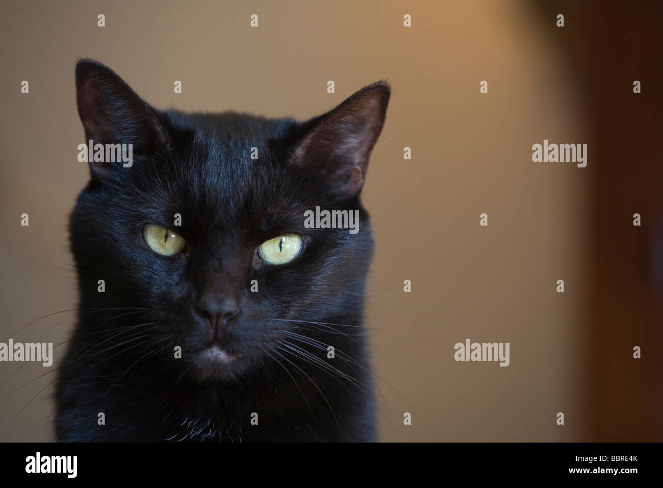 18 november 2006 hi-res stock photography and images - Alamy