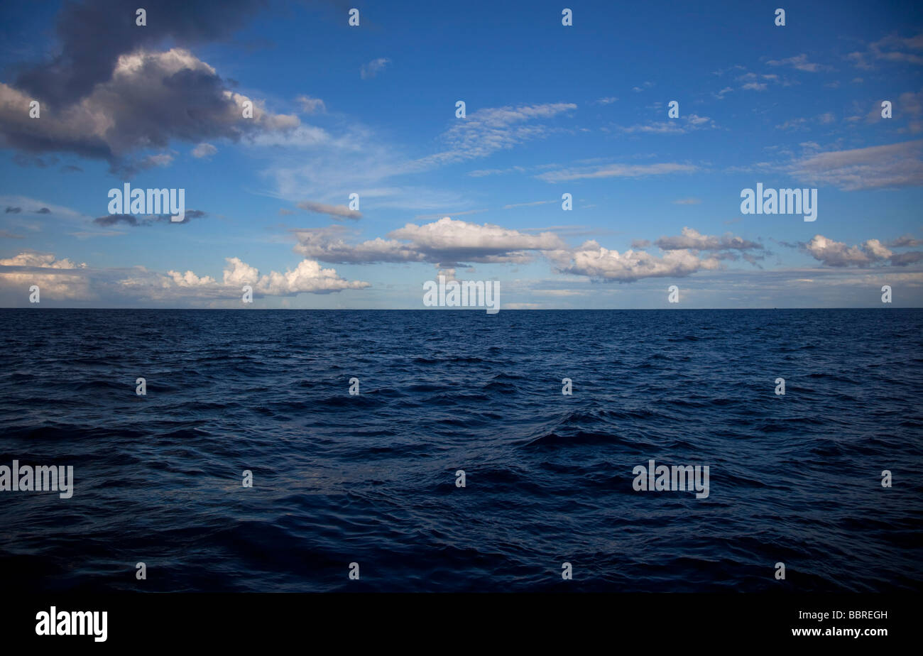 Blue open ocean Hawaii Stock Photo - Alamy