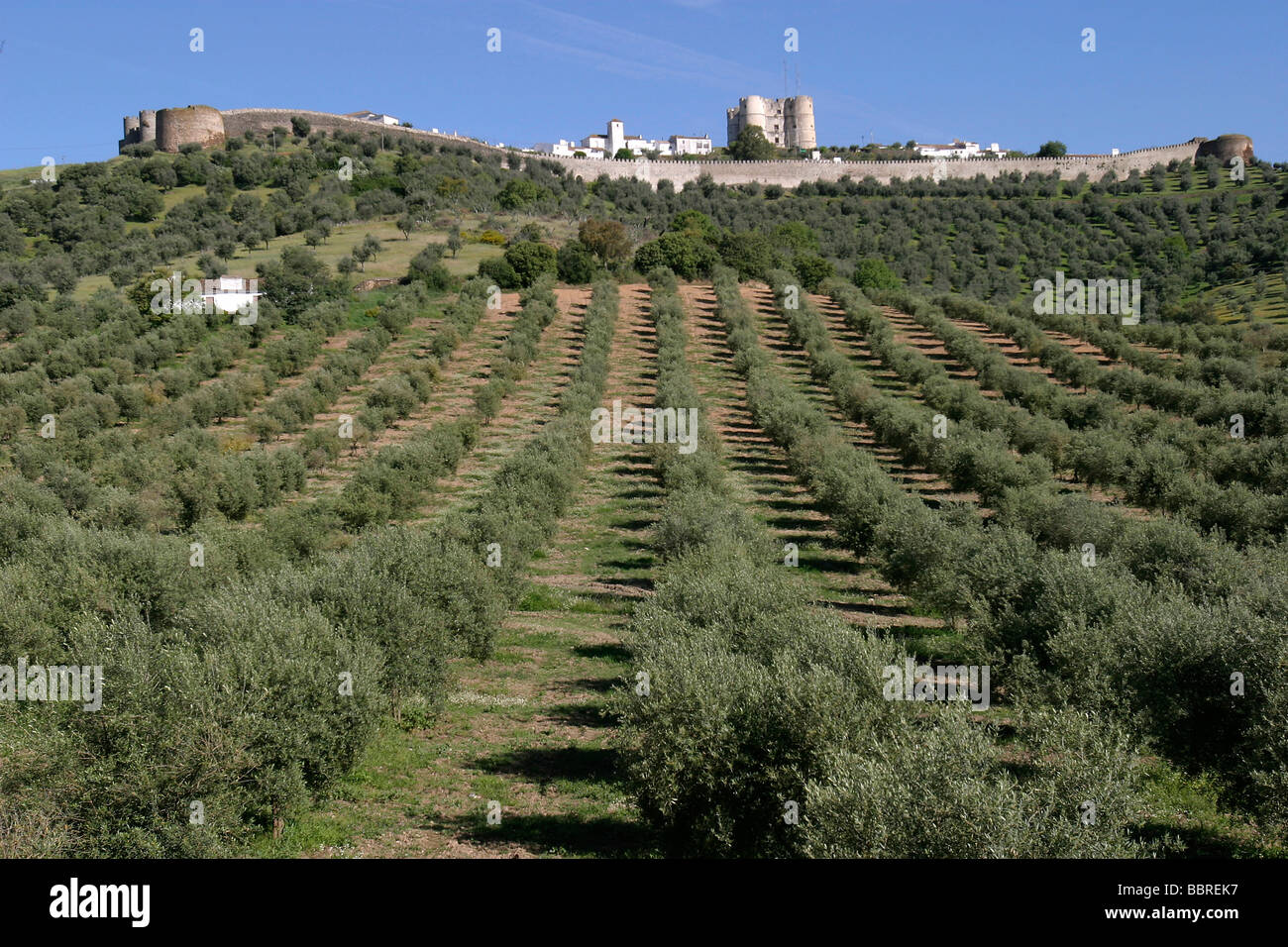 FORTIFIED TOWN OF EVORAMONTE AND VIEW OF THE NEIGHBORING LANDS ...
