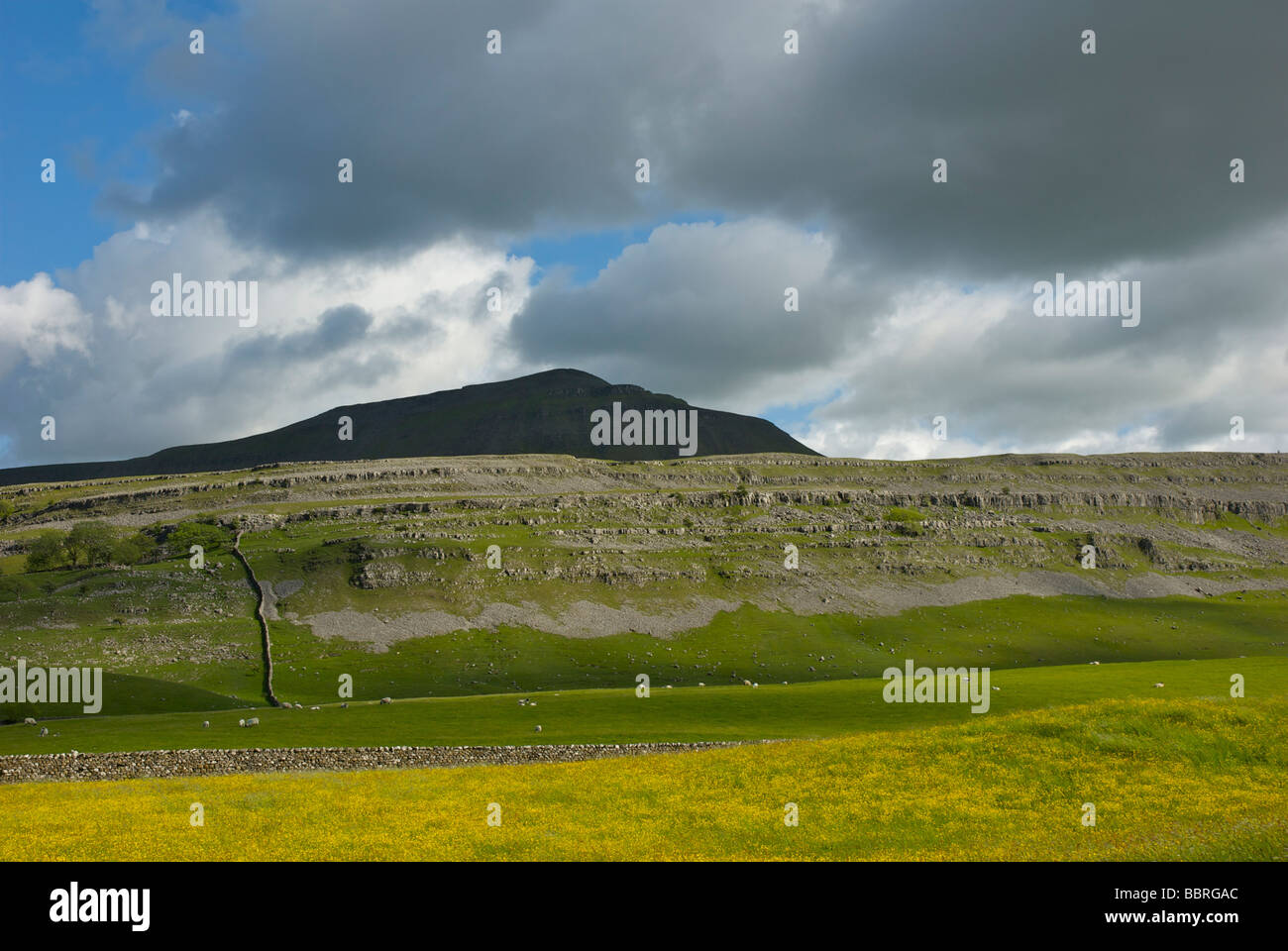 Ingleborough from Chapel le Dale, Yorkshire Dales National Park, North ...