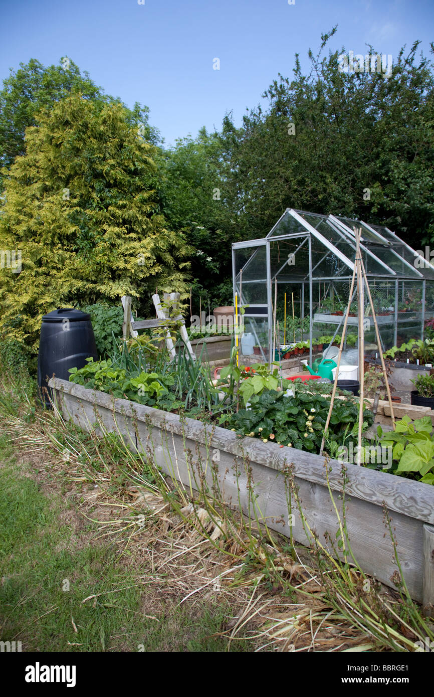 Vegetable plot hi-res stock photography and images - Alamy