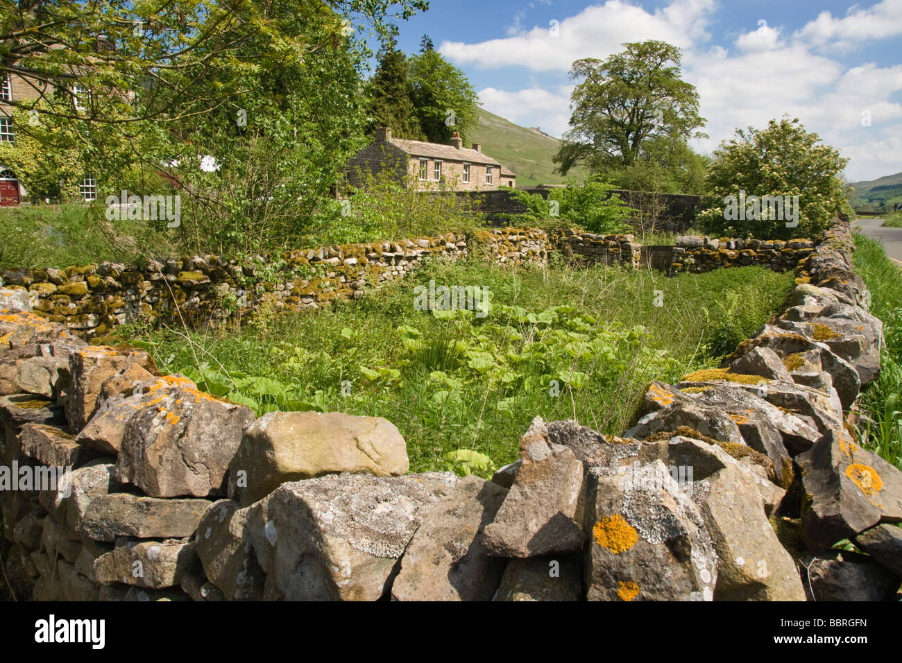 Stray animals in pinfold hi-res stock photography and images - Alamy