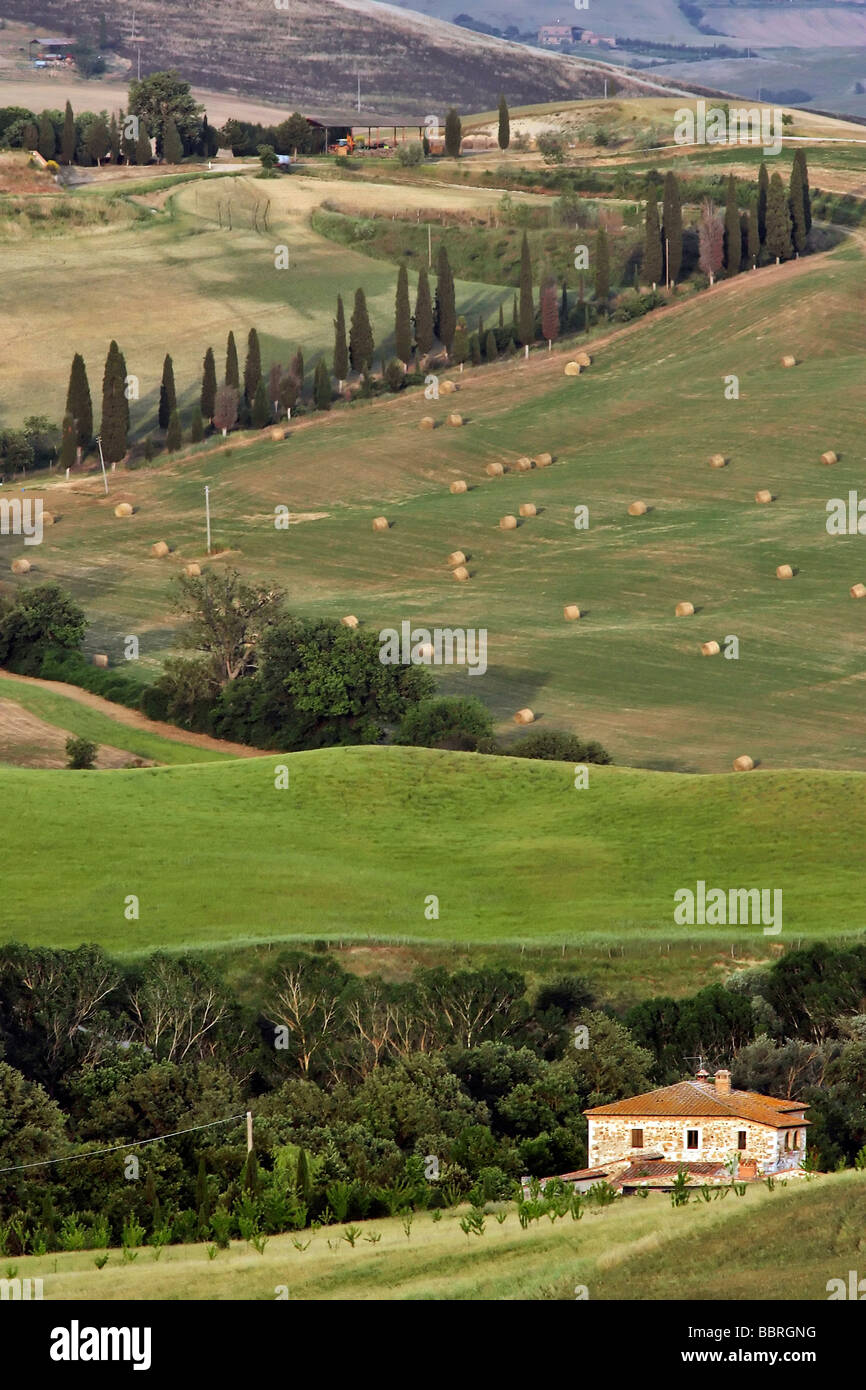 HILLS IN THE TUSCAN LANDSCAPE, MONTALCINO REGION, TUSCANY, ITALY Stock ...