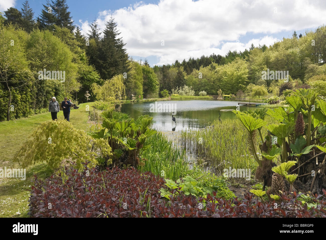 The Himalayan Garden, near Grewelthorpe, North Yorkshire Stock Photo ...
