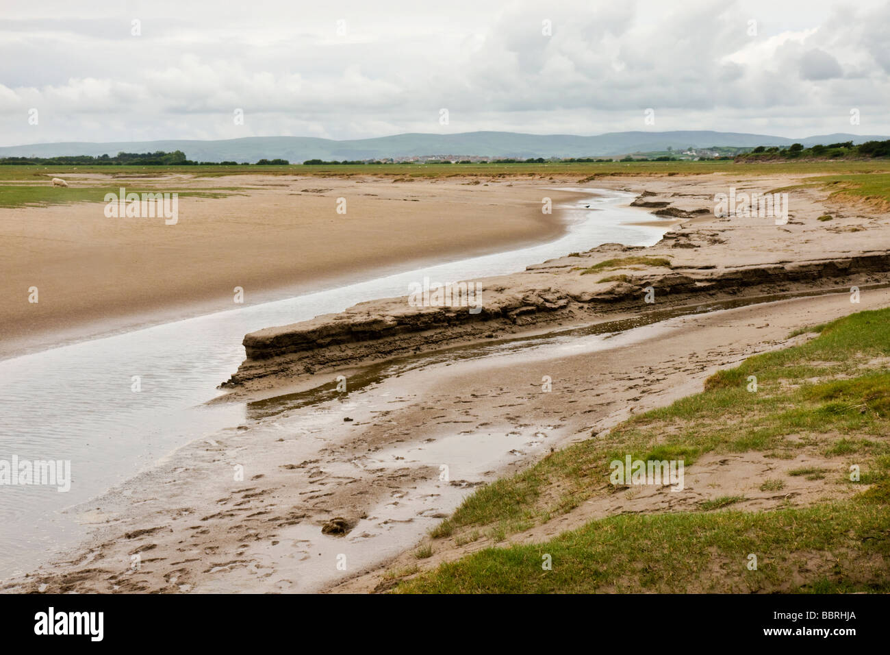 Salt marsh and mud flats on Morecambe Bay at Humphrey Head near ...