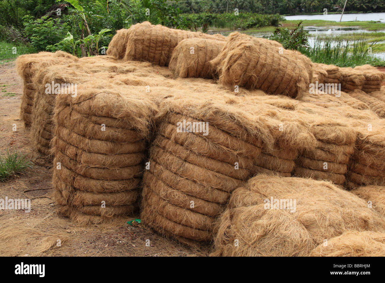 Coir fibers being processed Stock Photo - Alamy