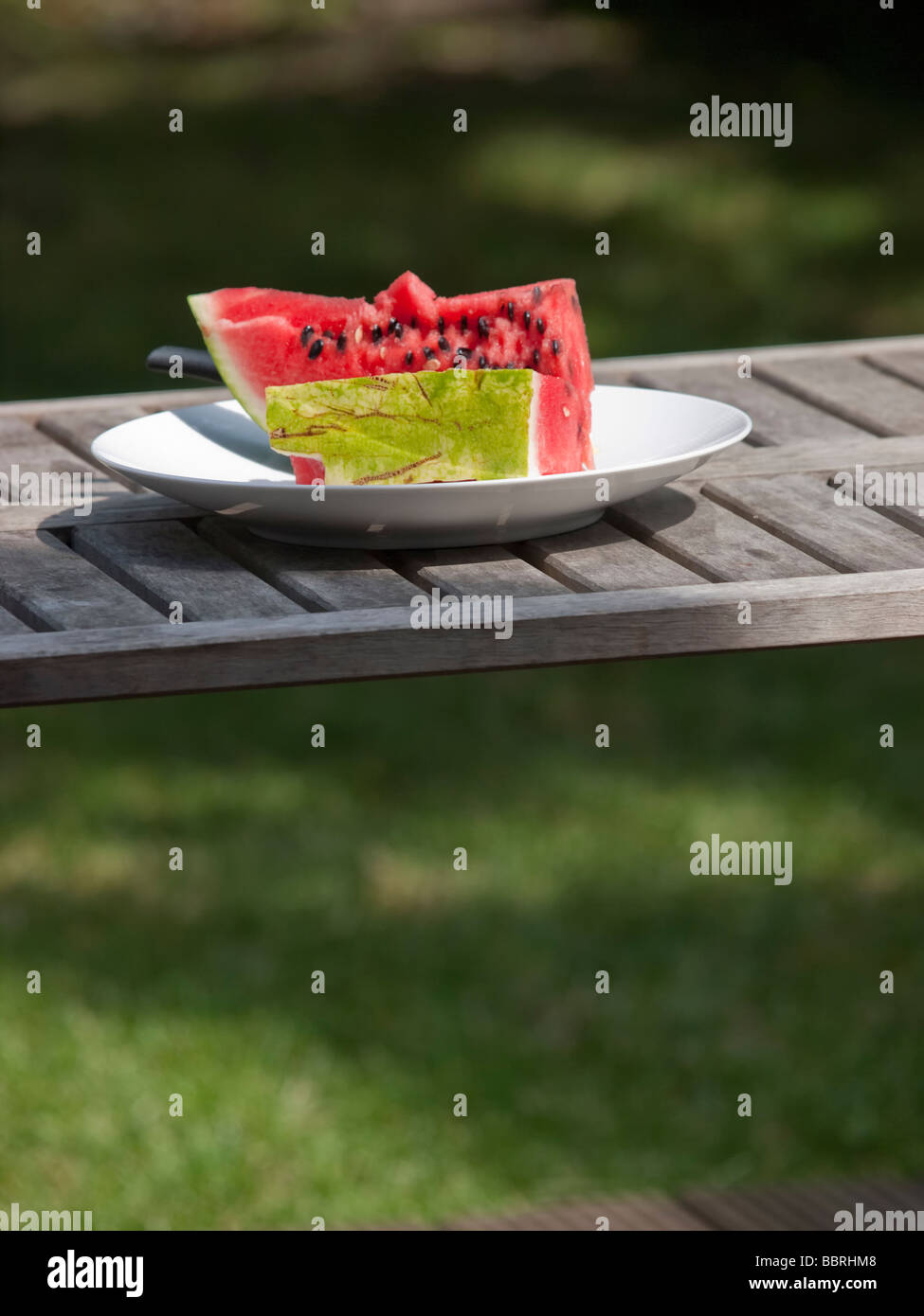 Watermelon in garden sun hi-res stock photography and images - Alamy