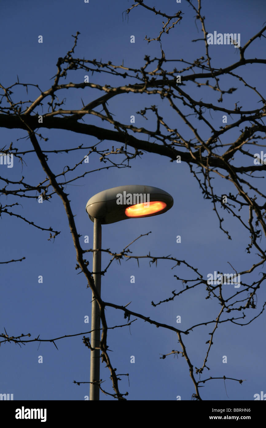 one street lamp post pole at night Stock Photo - Alamy