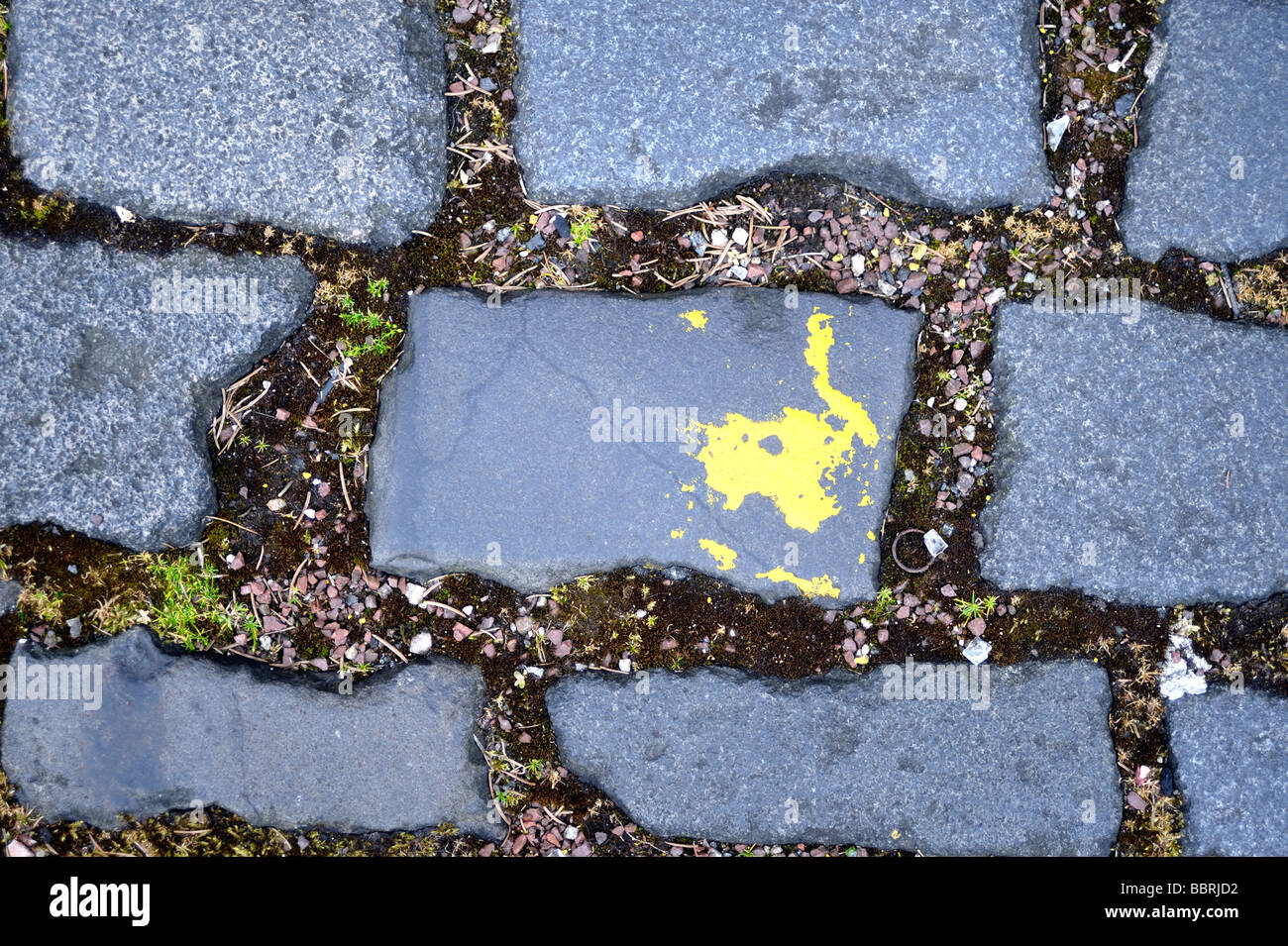 Yellow paint on a cobbled street Stock Photo - Alamy