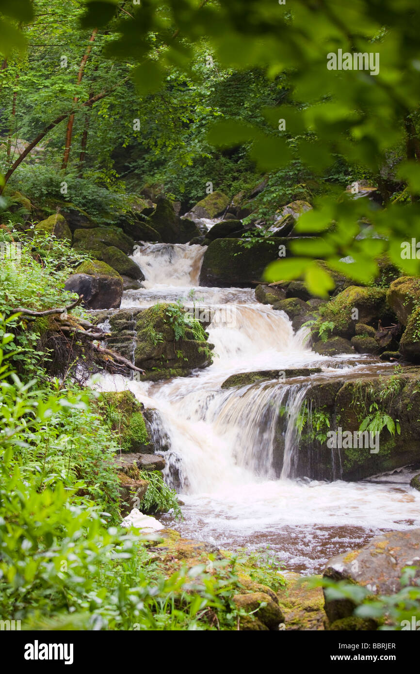 Glen lyn gorge, lynmouth hi-res stock photography and images - Alamy