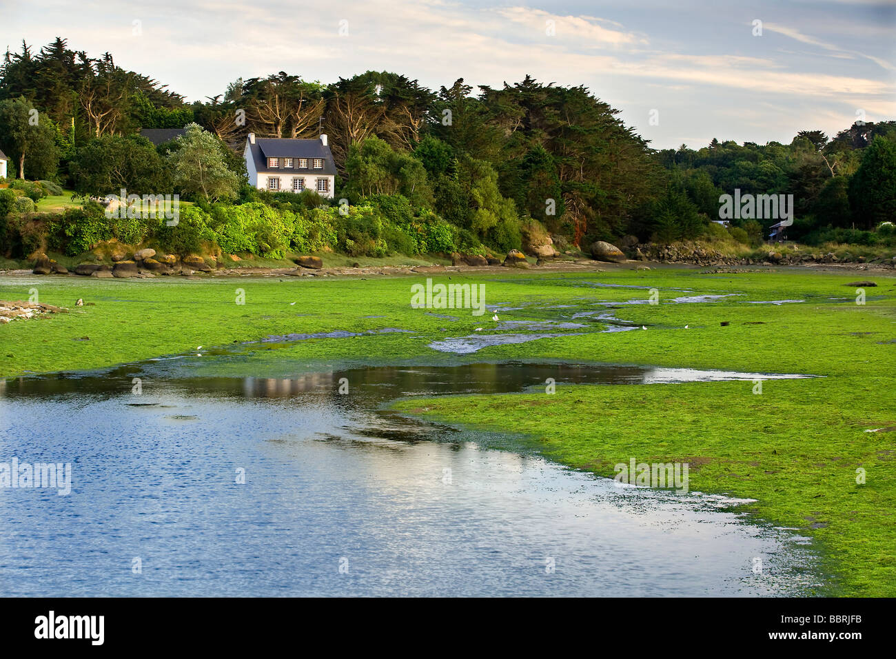 house and salt marsh Stock Photo - Alamy