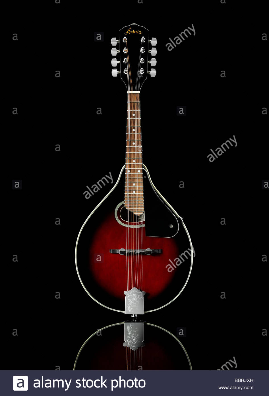 Mandolin Stock Photos & Mandolin Stock Images - Alamy