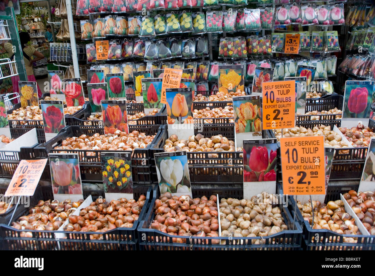 tulip bulbs in a flower market shop The Bloemenmarkt, a flower market ...