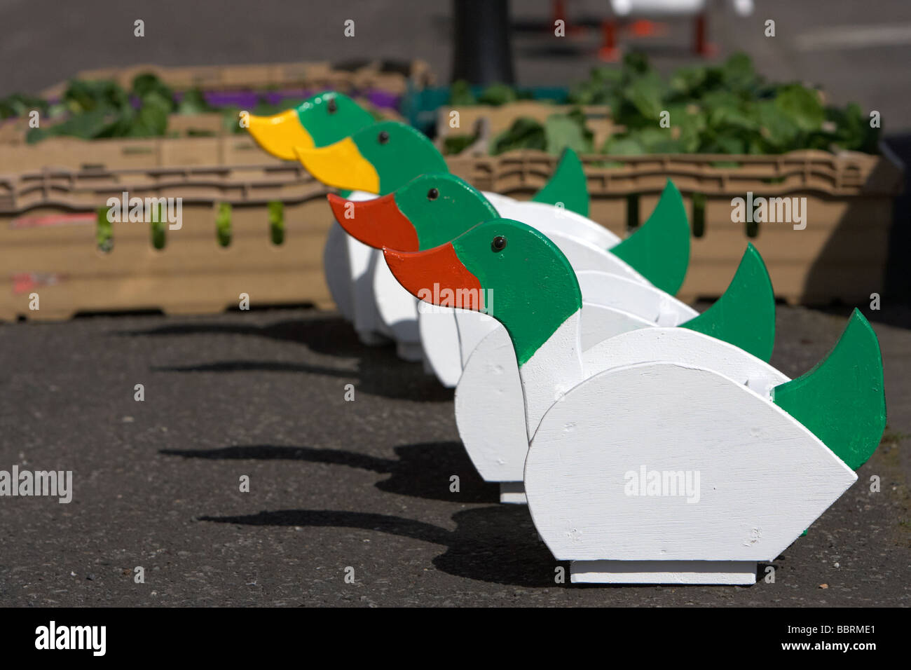 Wood duck boxes hi-res stock photography and images - Alamy