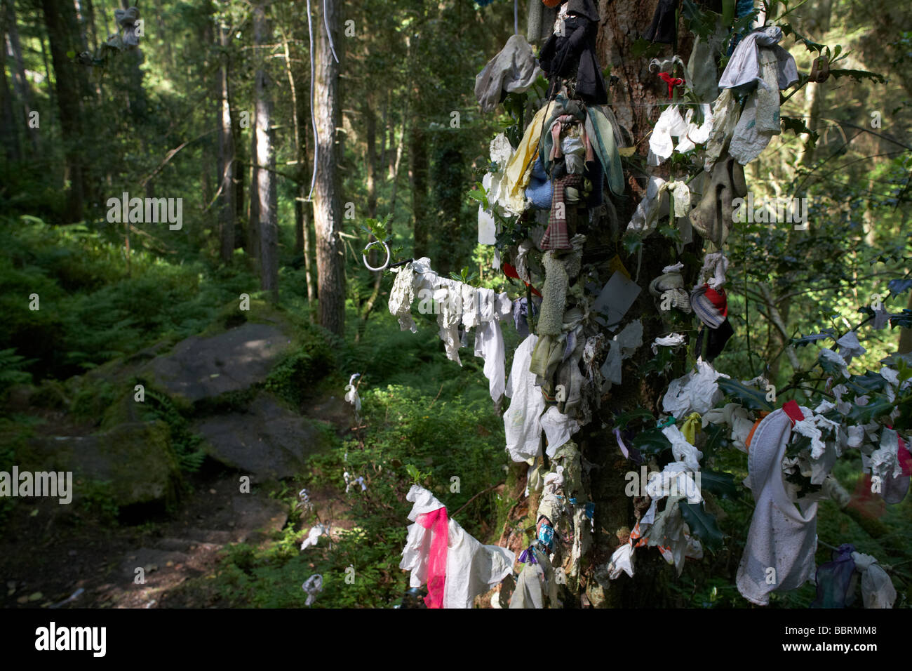 Clootie well hi-res stock photography and images - Alamy