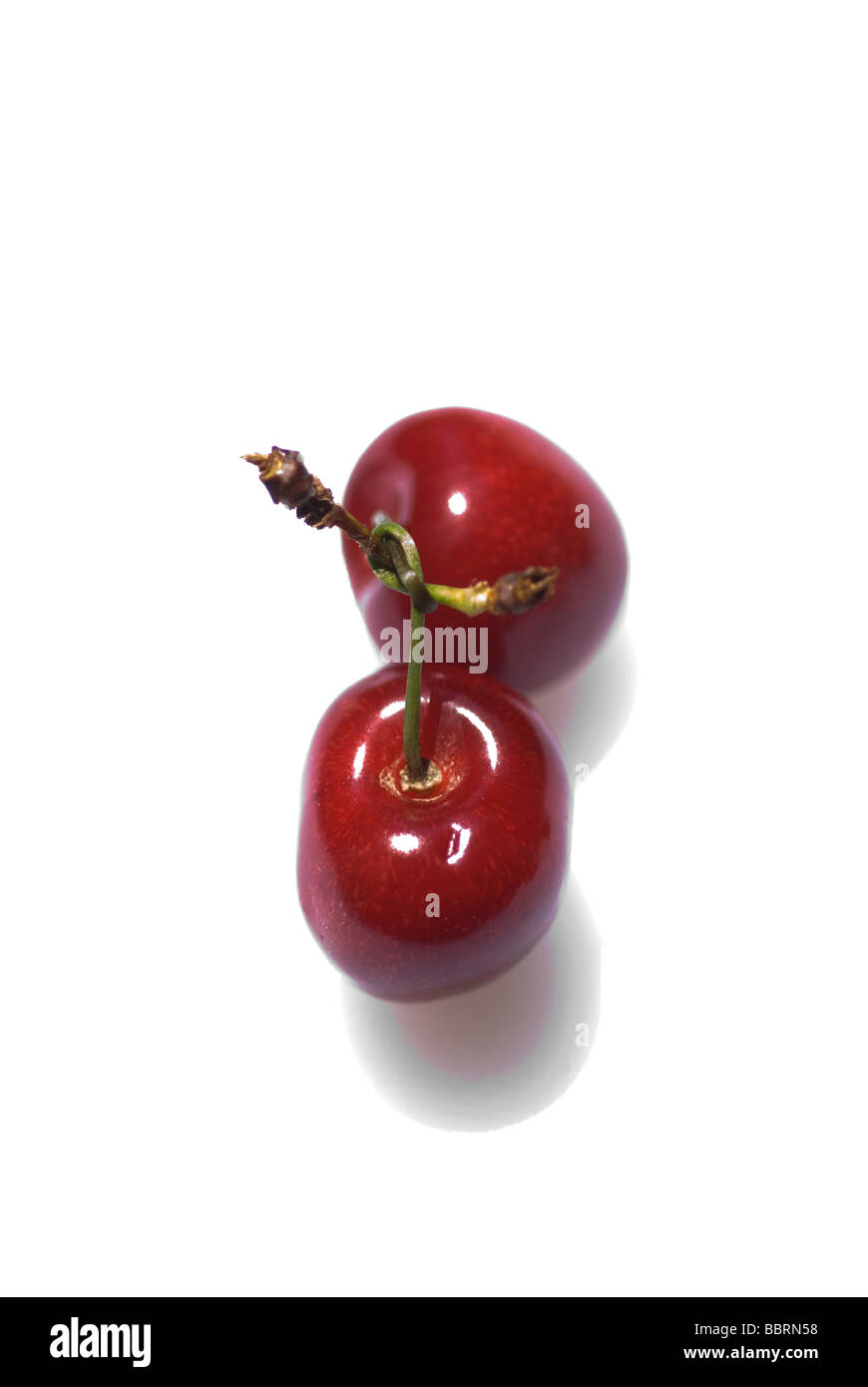 Couple tied together Cut Out Stock Images & Pictures - Alamy