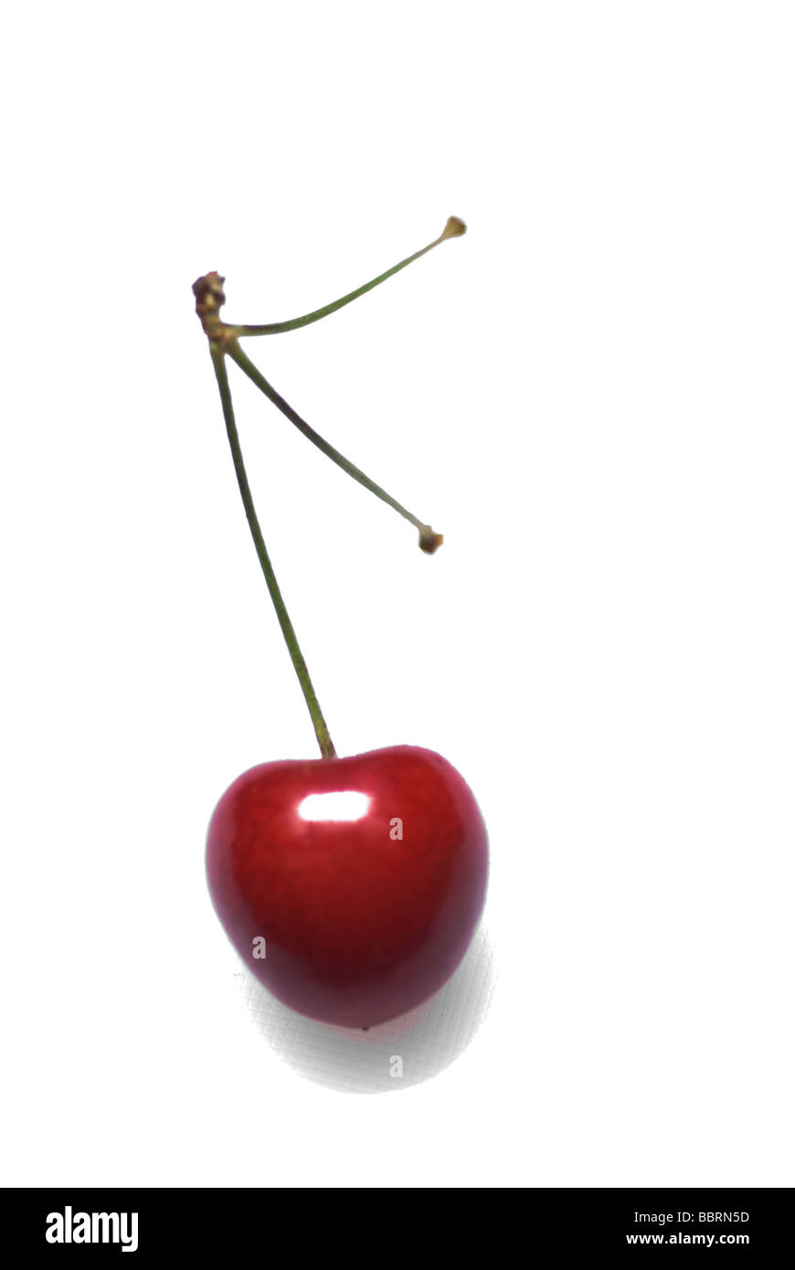 Team cherry hi-res stock photography and images - Alamy