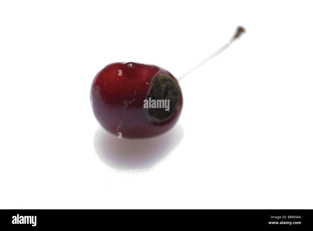 Tiem hi-res stock photography and images - Alamy