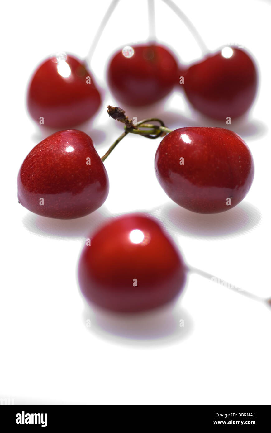 Pair two one single many hi-res stock photography and images - Alamy