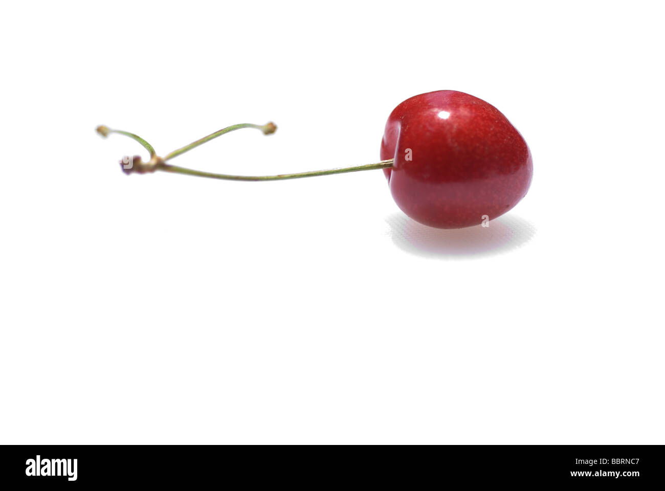Single cherry fruit hi-res stock photography and images - Alamy
