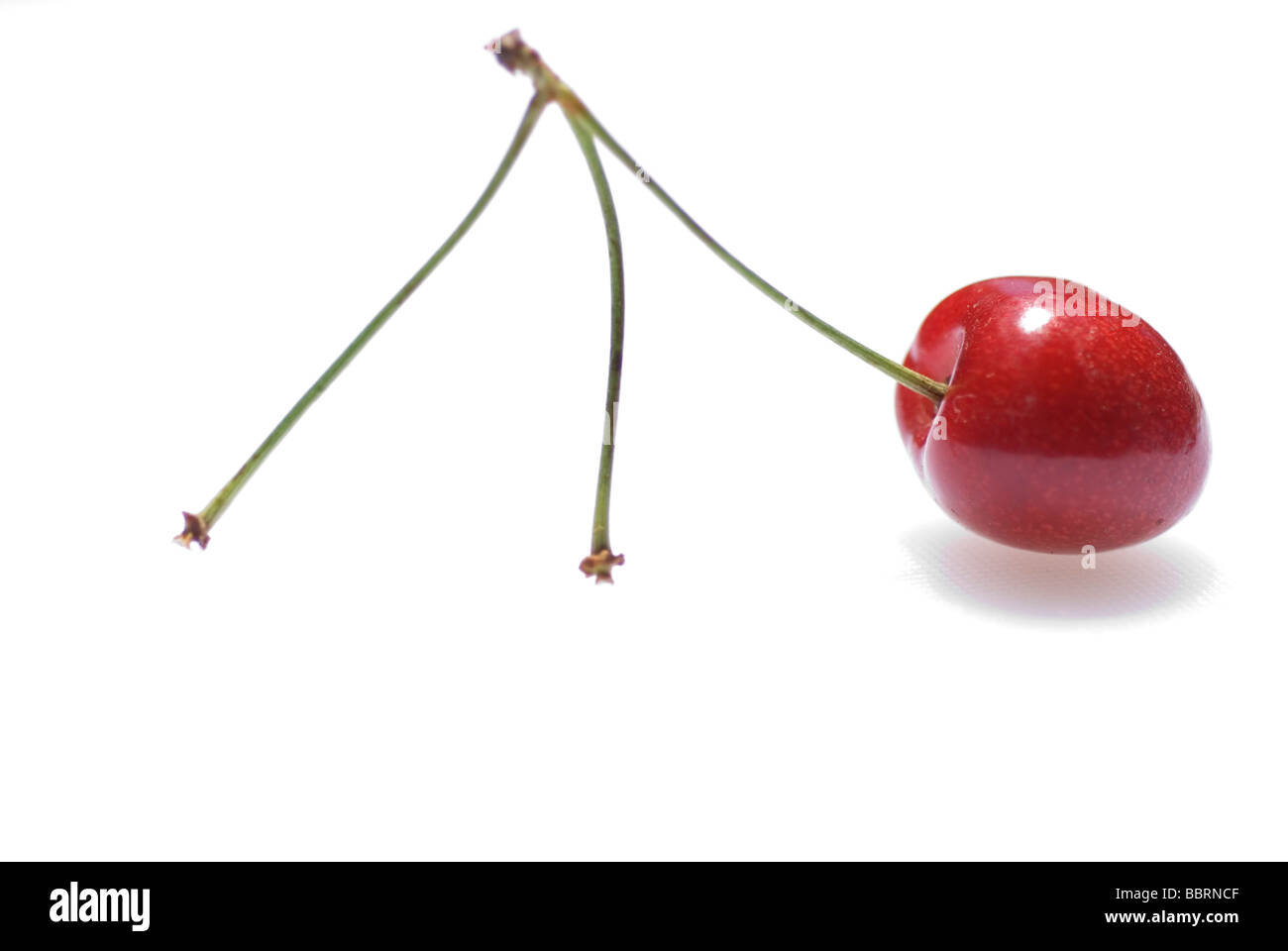 Single cherry fruit Cut Out Stock Images & Pictures - Alamy