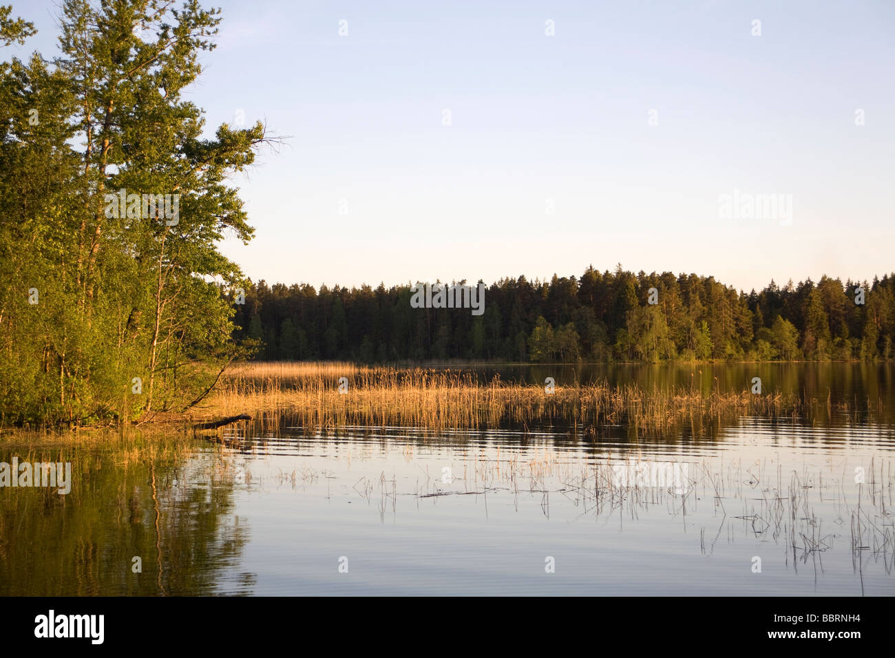 Valday hi-res stock photography and images - Alamy