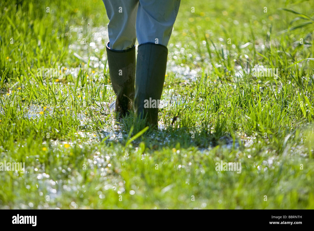 Person in Wellington boots walking over wet grass Stock Photo - Alamy