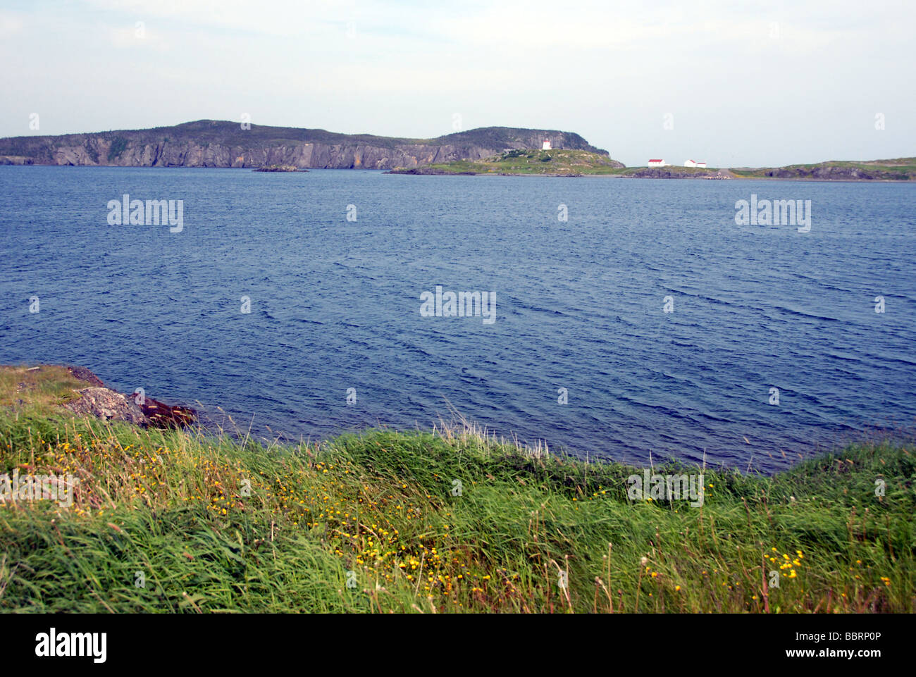 Trinity bay newfoundland hi-res stock photography and images - Alamy
