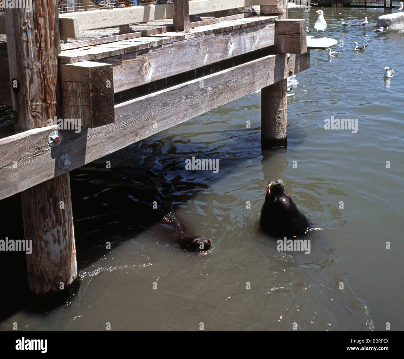 Looking for handout hi-res stock photography and images - Alamy