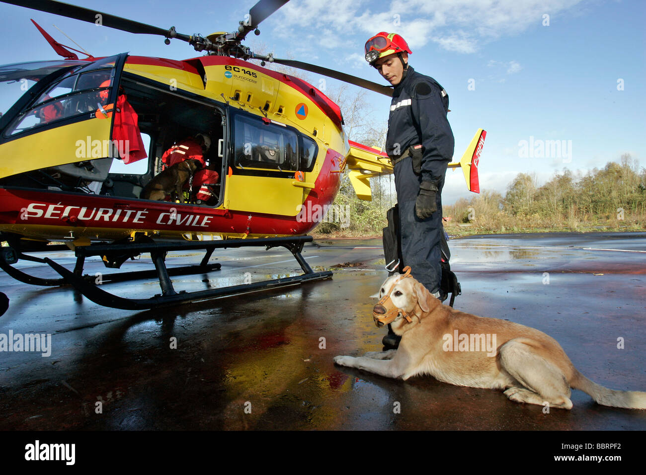 Search rescue dog helicopter hi-res stock photography and images - Alamy