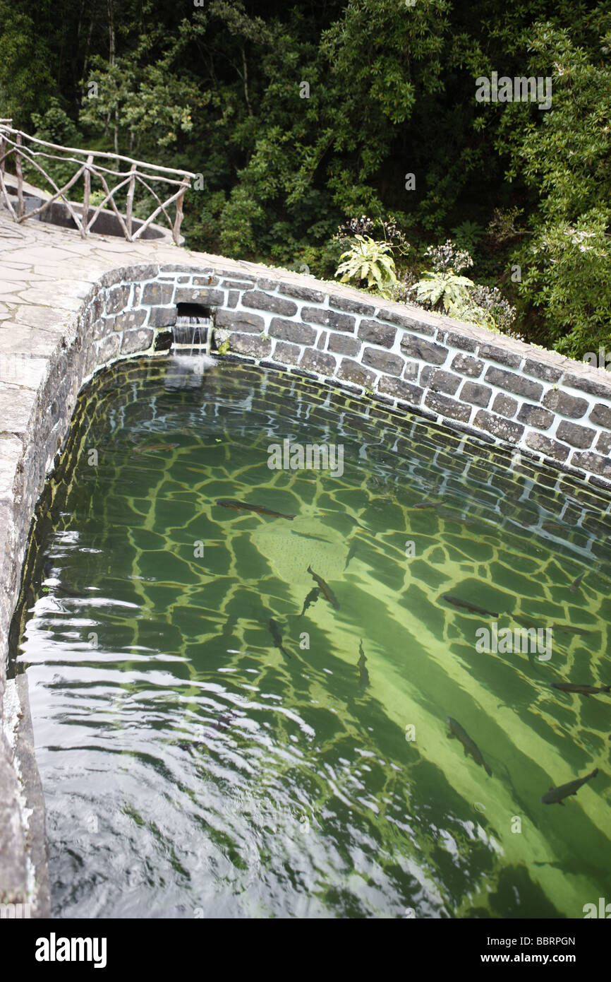 Trout pond hi-res stock photography and images - Alamy
