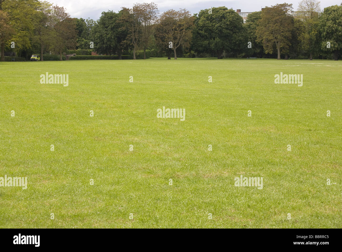grass field in public park Stock Photo - Alamy