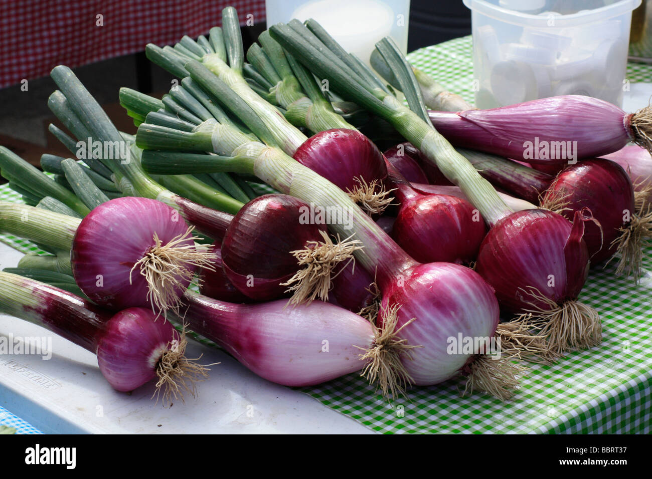 onions on display for sale at local farmers market Stock Photo - Alamy