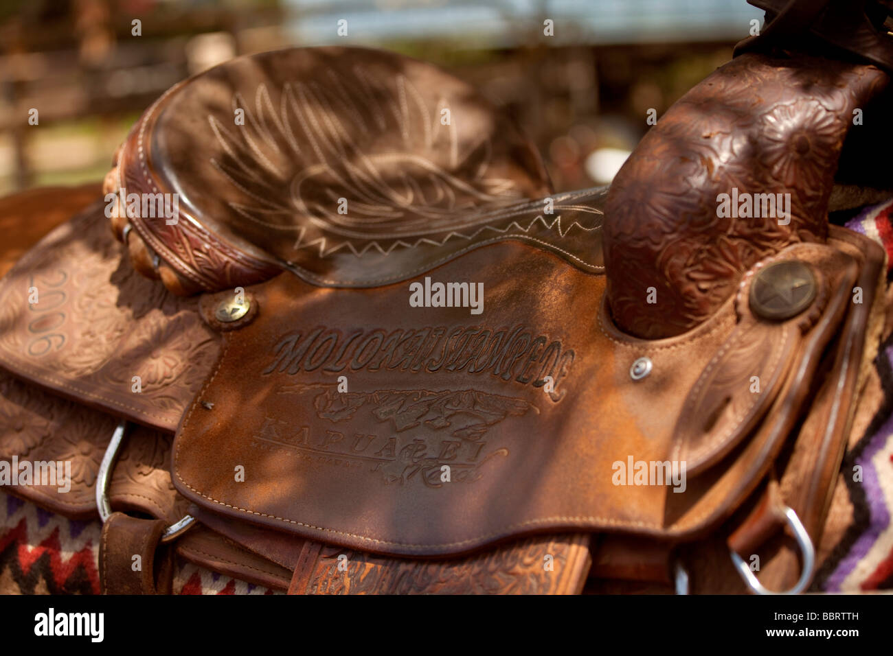 The rodeo hi-res stock photography and images - Alamy