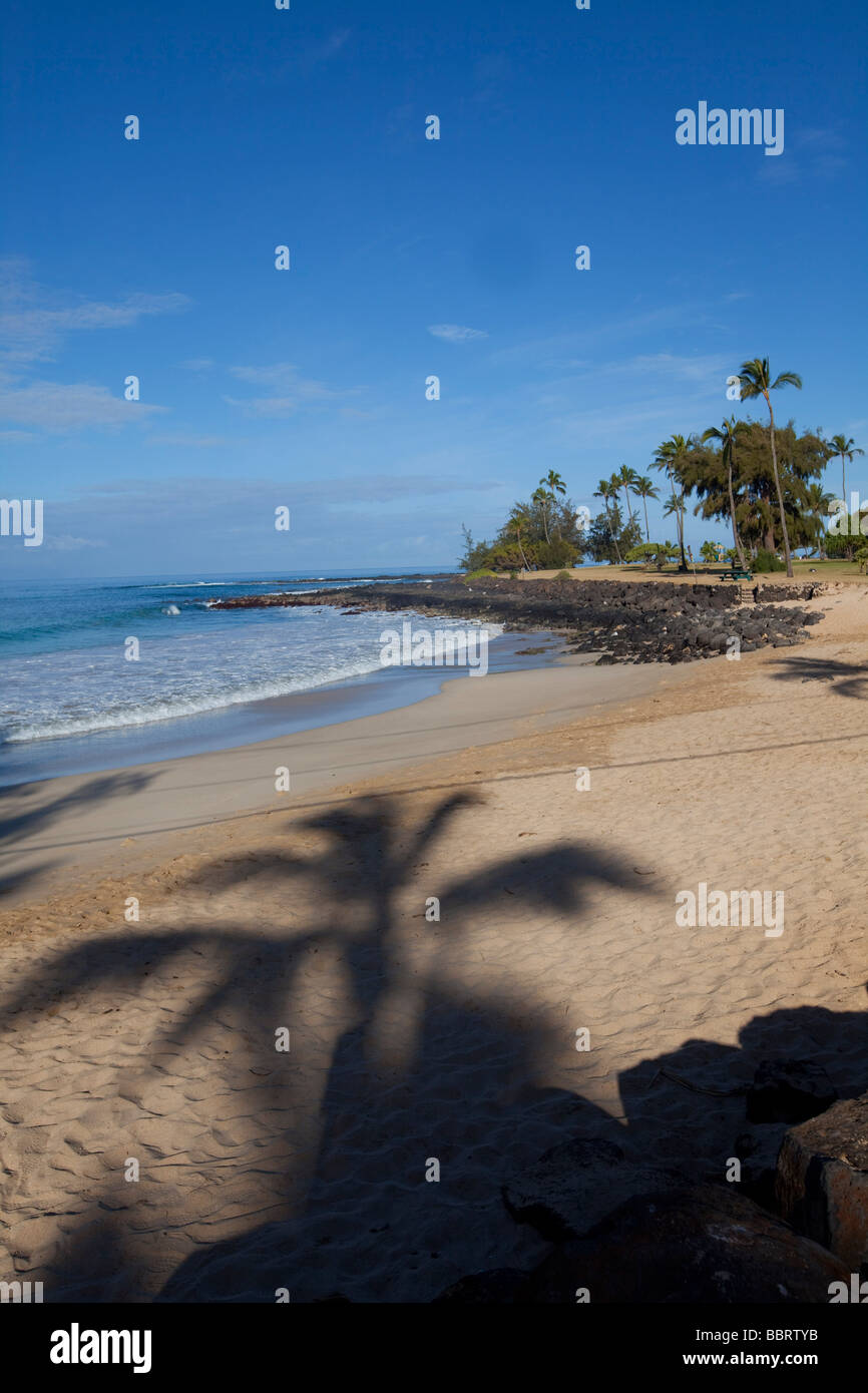 Brennnecke hi-res stock photography and images - Alamy