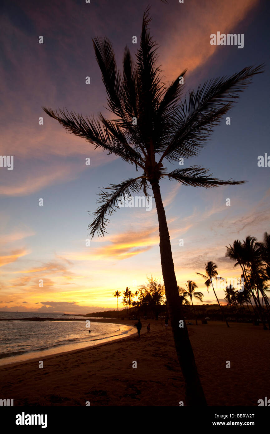 Hanapepe salt pond kauai hawaii hi-res stock photography and images - Alamy