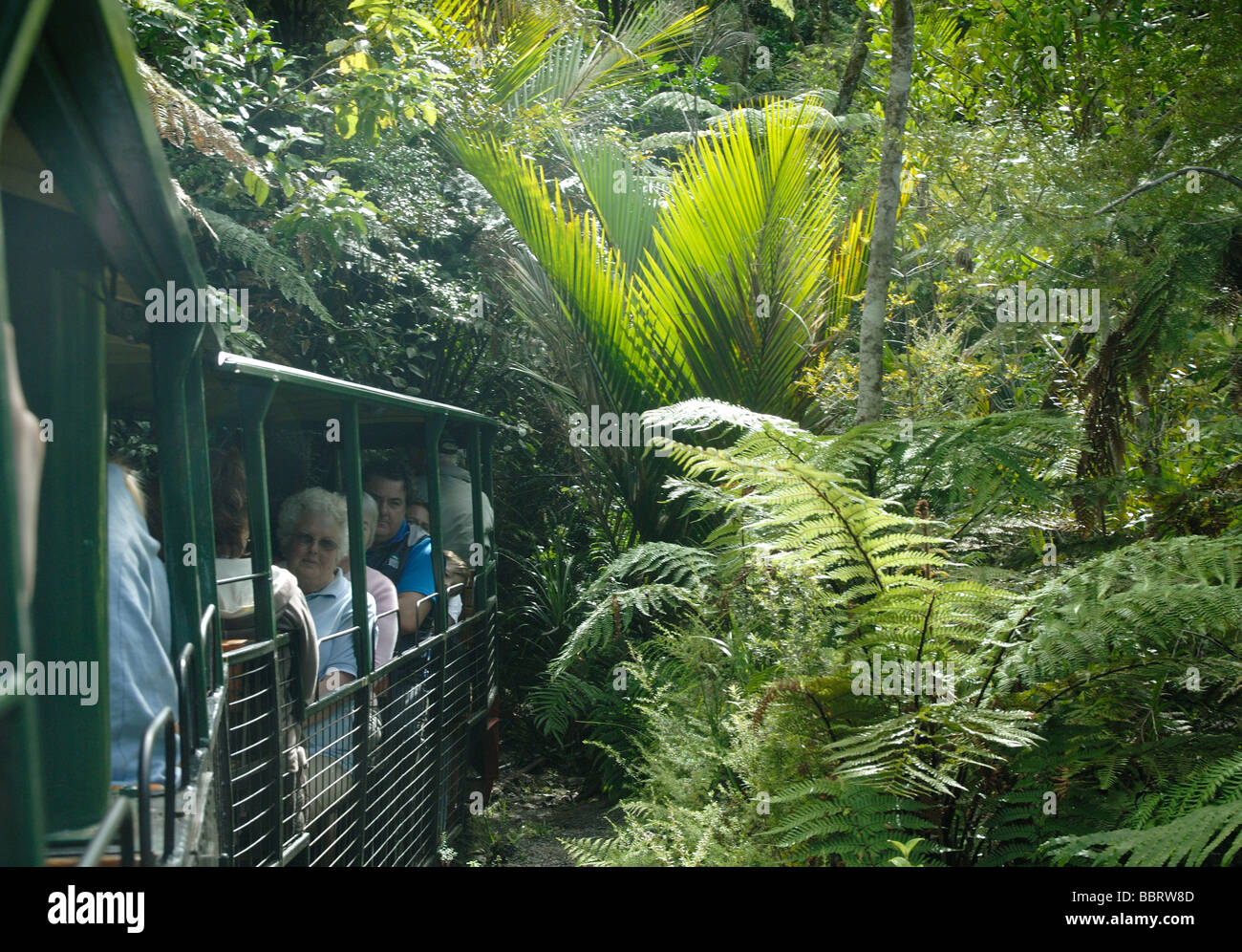 The Driving Creek Railway, Coromandel Town, New Zealand Stock Photo - Alamy