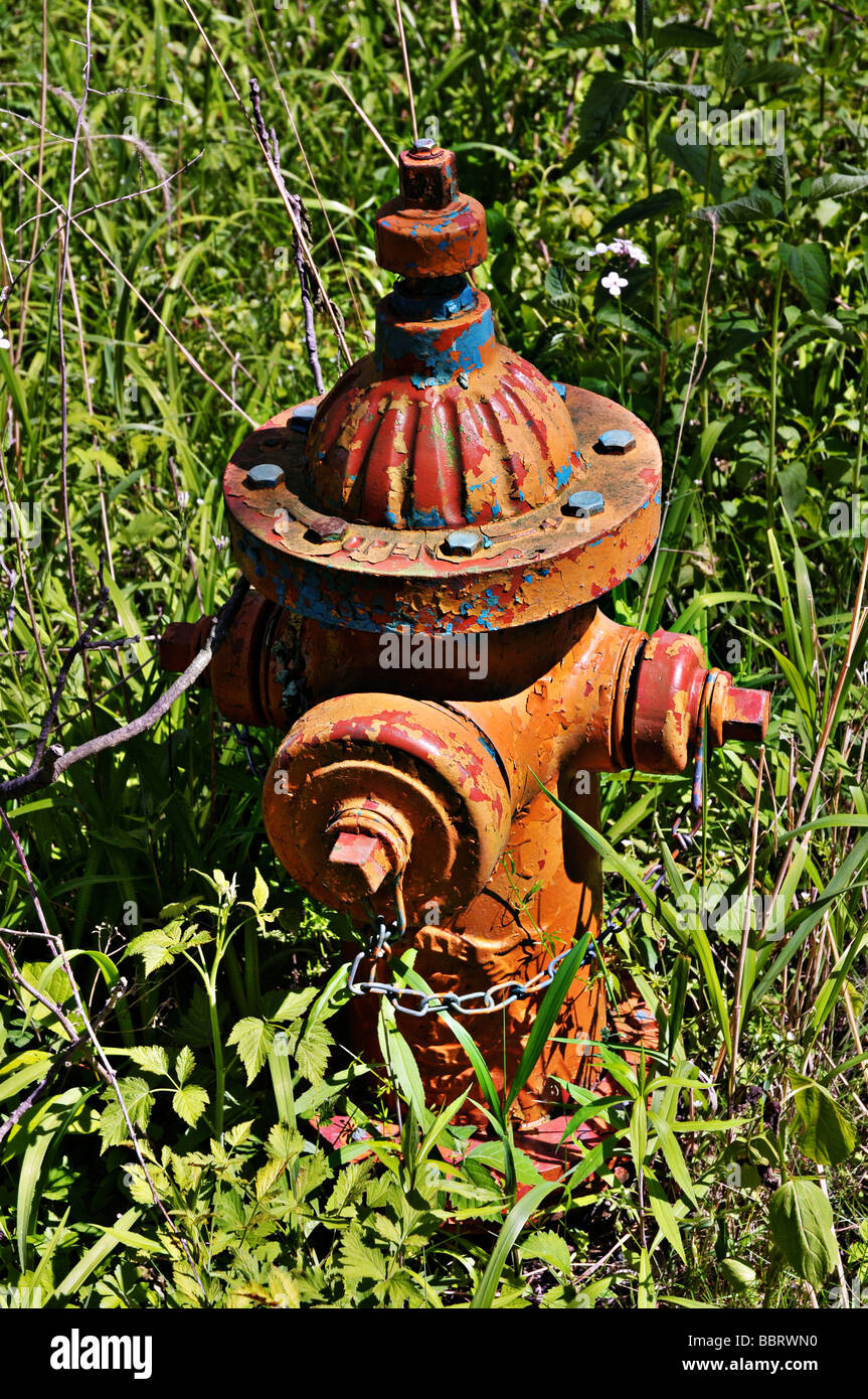 Orange fire hydrant Stock Photo - Alamy