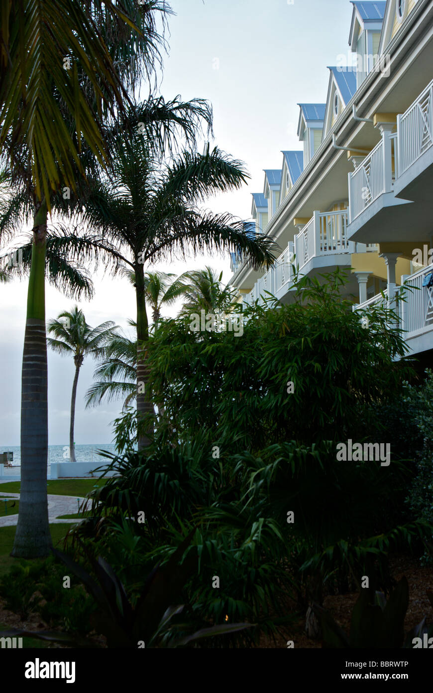 Balconies of hotel guest rooms overlook lush vegetation and palm trees ...