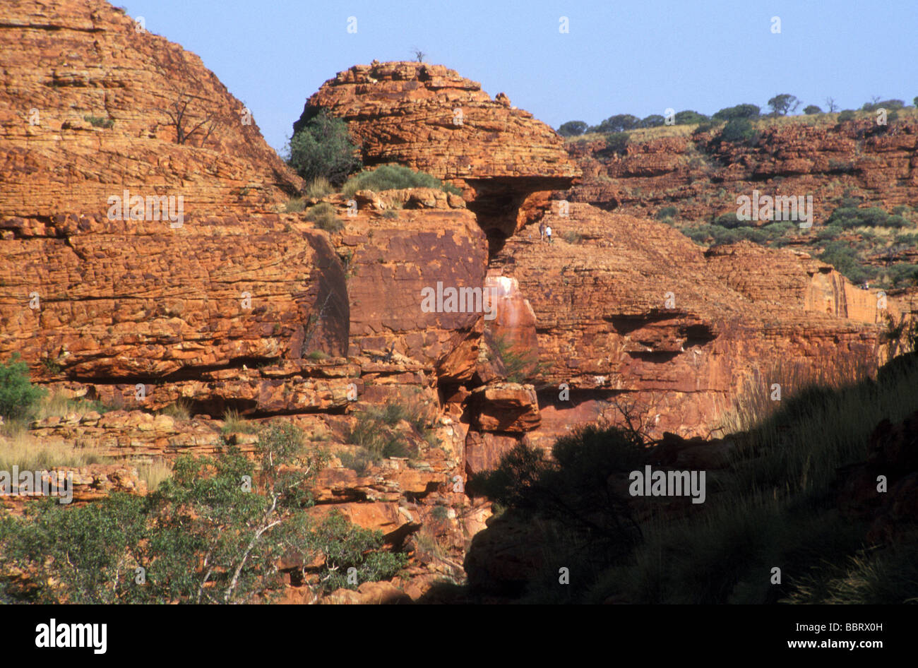 kings canyon northern territory australia Stock Photo - Alamy kings canyon northern territory australia Stock Photo - Alamy