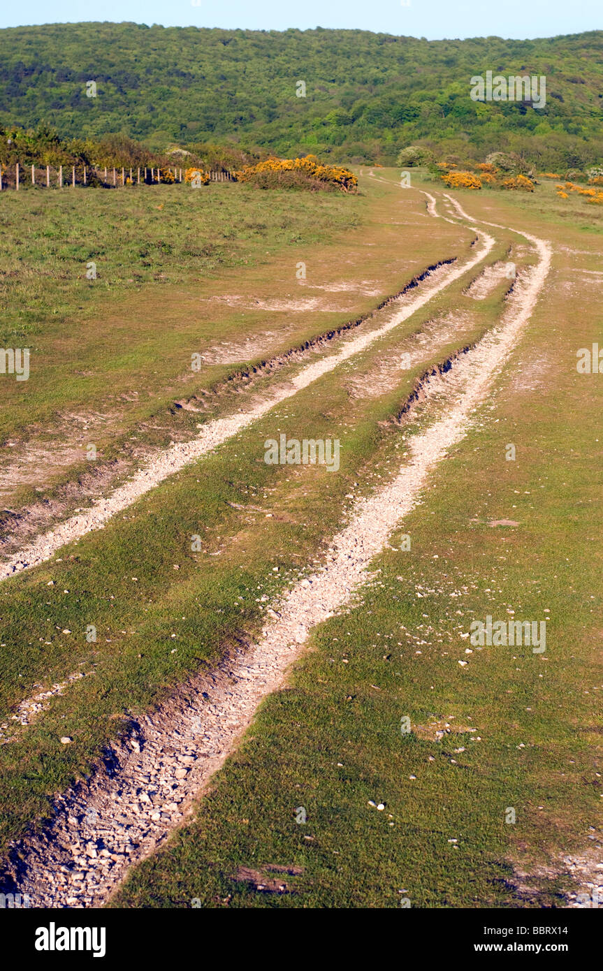 Tennyson Trail, Brook Down, Isle of Wight, England, UK, GB Stock Photo ...