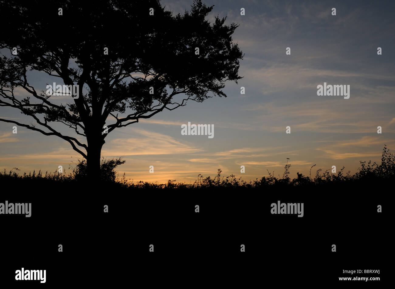 A Devon Sunset in mid September Stock Photo - Alamy