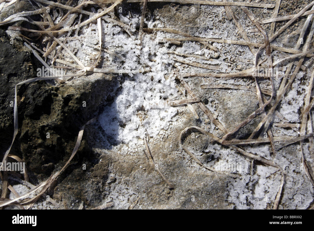 Saturated solution hi-res stock photography and images - Alamy