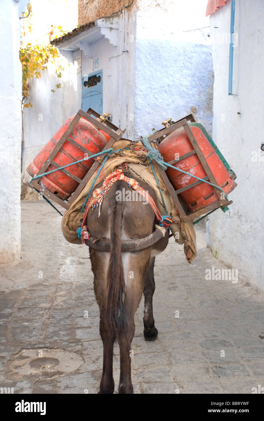 Donky hi-res stock photography and images - Alamy