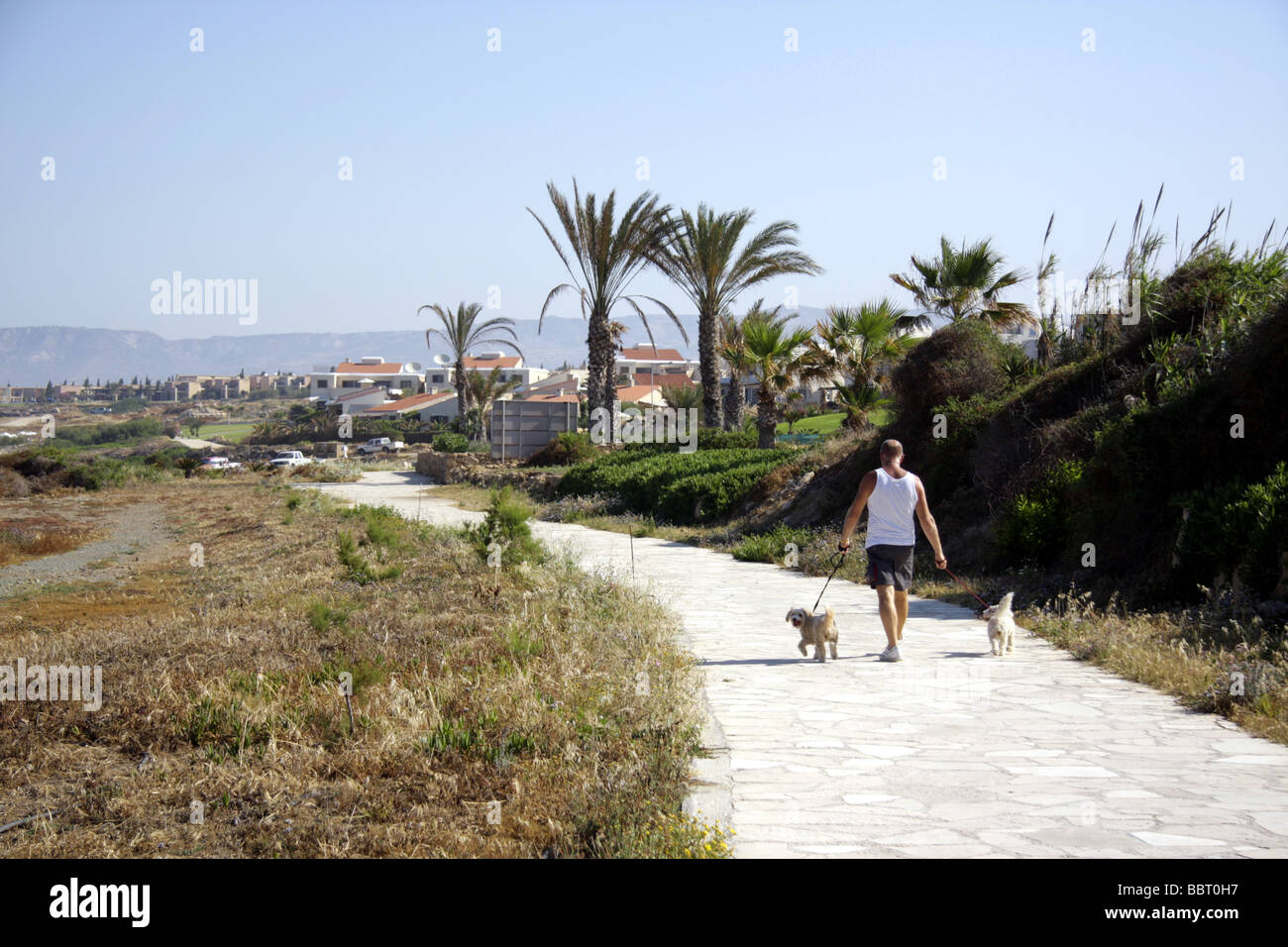 A local resident walking his dogs near Paphos, Cyprus. Taken around 8 ...