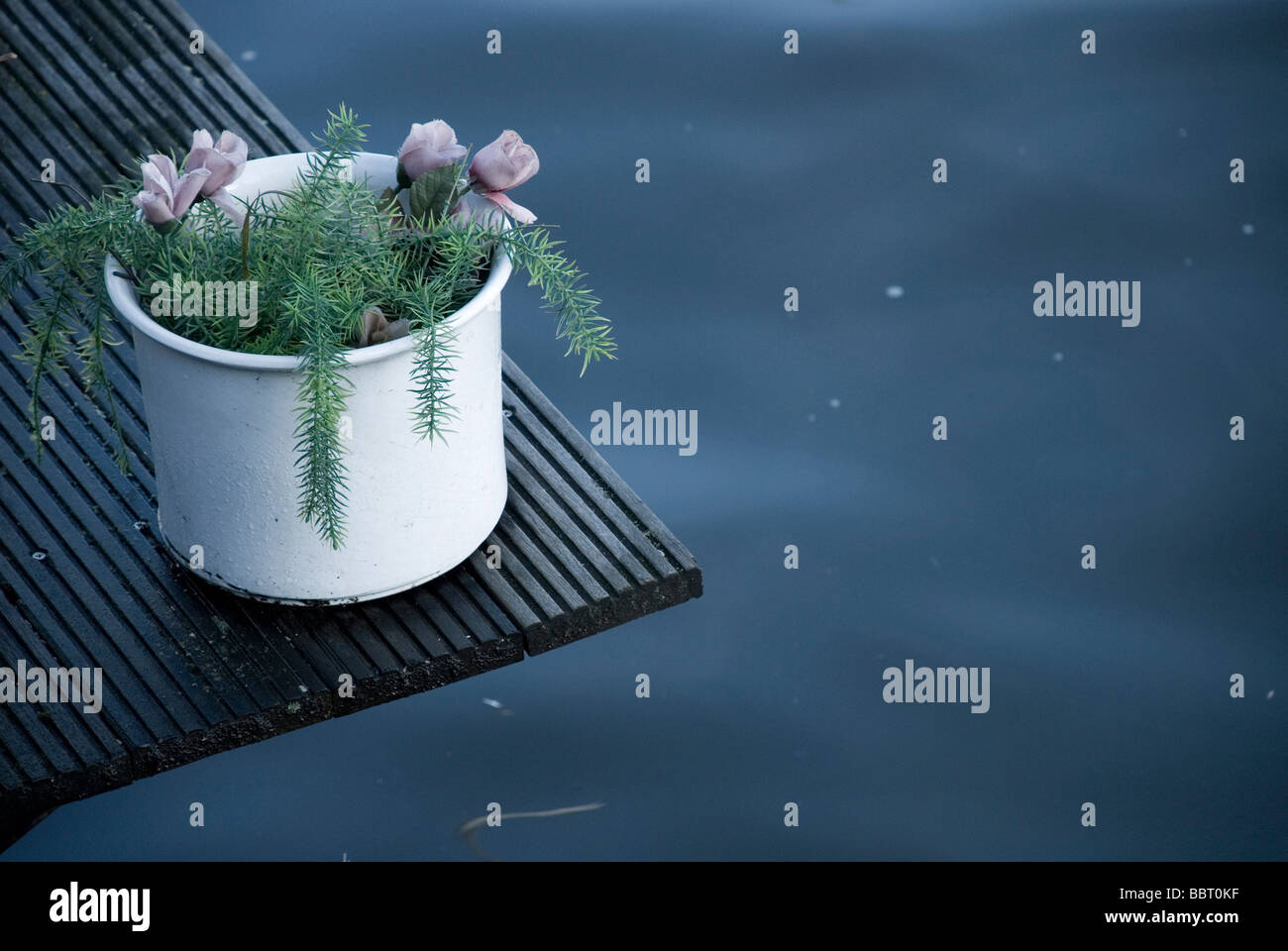 flowers pot on a floating home of canal. Amsterdam Netherlands Holland ...